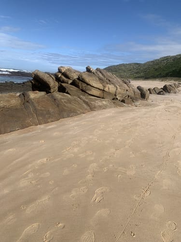 2023 Best 10 Trails and Hikes in Port Elizabeth | AllTrails