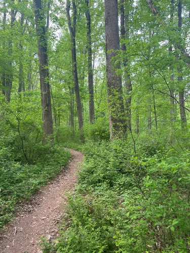 Best Easy Trails in Seneca Creek State Park | AllTrails