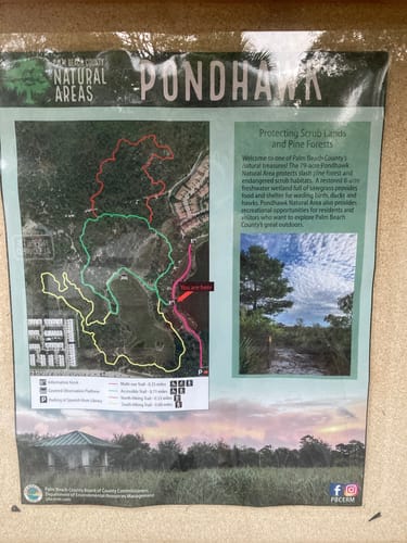 Best Hikes and Trails in Spanish River Athletic Park | AllTrails