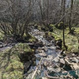 Glen Duror Circular, Argyll and Bute, Scotland - 43 Reviews, Map ...
