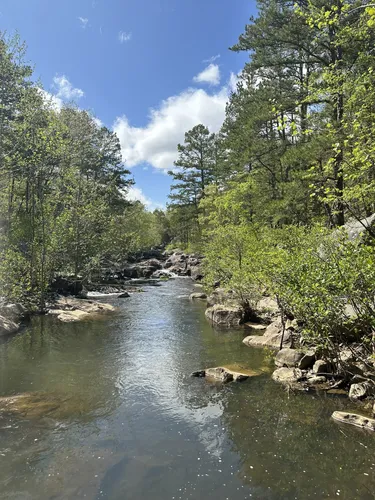 10 Best Walking Trails in Mark Twain National Forest | AllTrails