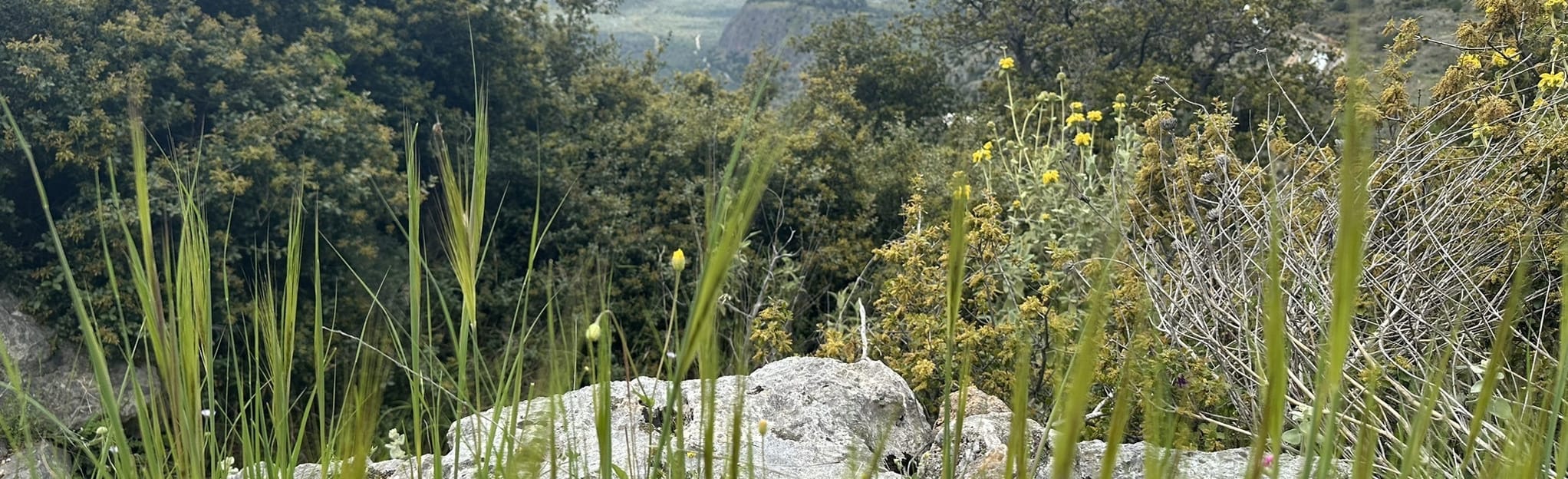 Kirra - Delphi Ancient Path, Central Greece, Greece - 19 Reviews, Map ...