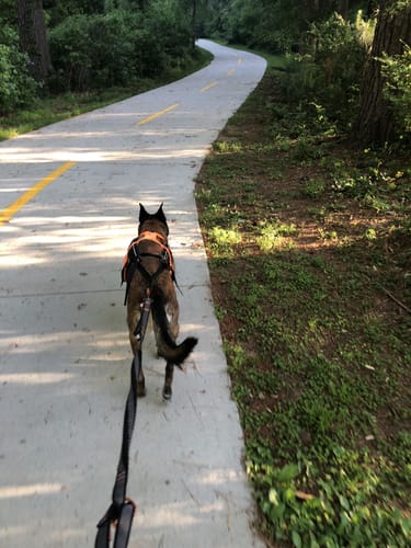 Best Hikes and Trails in Gresham Park | AllTrails