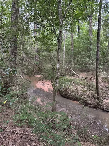 Best Hikes and Trails in Carl Barton Jr Park | AllTrails