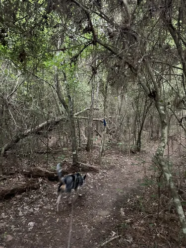 Best Hikes and Trails in Carl Barton Jr Park | AllTrails