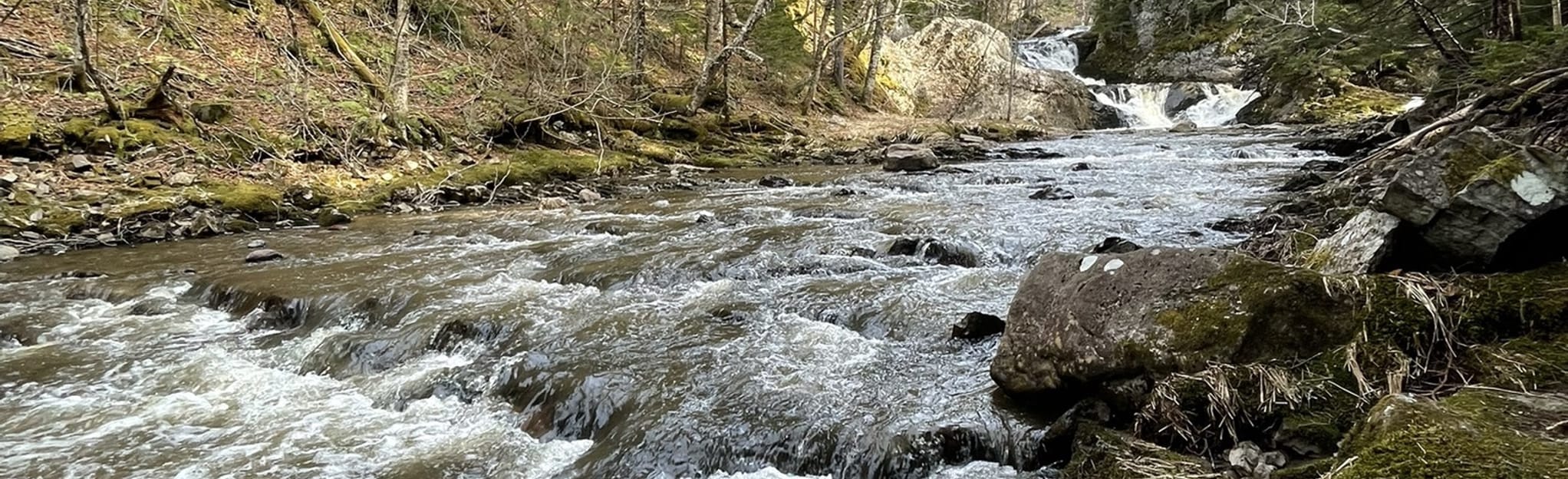 Ratcliffe Falls: 9 Reviews, Map - New Brunswick, Canada | AllTrails