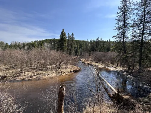 Best Hikes and Trails in Pigeon River Country State Forest | AllTrails