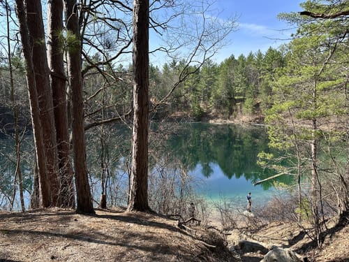 2023 Best Forest Trails in Pigeon River Country State Forest | AllTrails