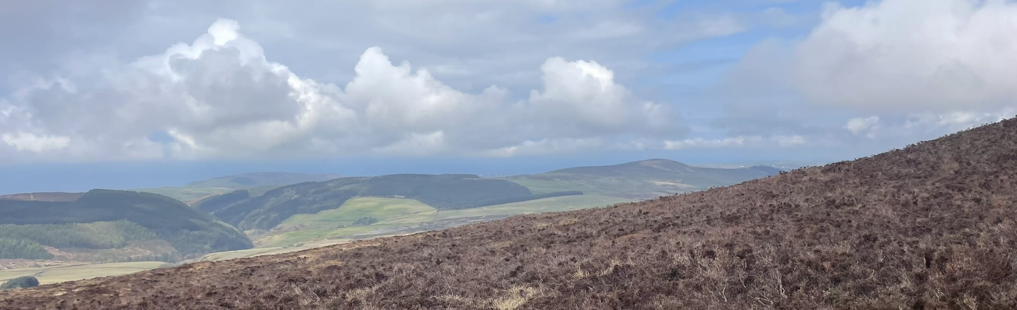 South Barrule and Cringle Plantation: 9 Reviews, Map - Rushen, Isle of ...