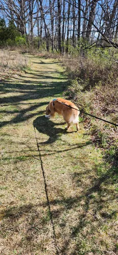 Best Hikes and Trails in Rust Nature Sanctuary | AllTrails