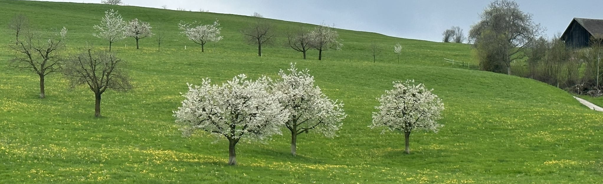 AllTrails | St. Verena - Aegerisee VTT: 2 Reviews, Map - Zug, Switzerland