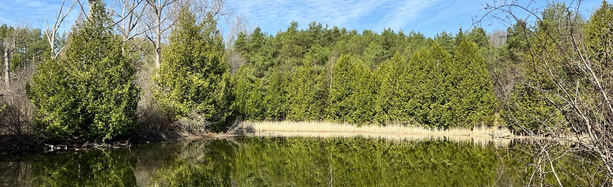 Oak Ridges Trail Association Side Trail, Ontario, Canada - 165 Reviews ...