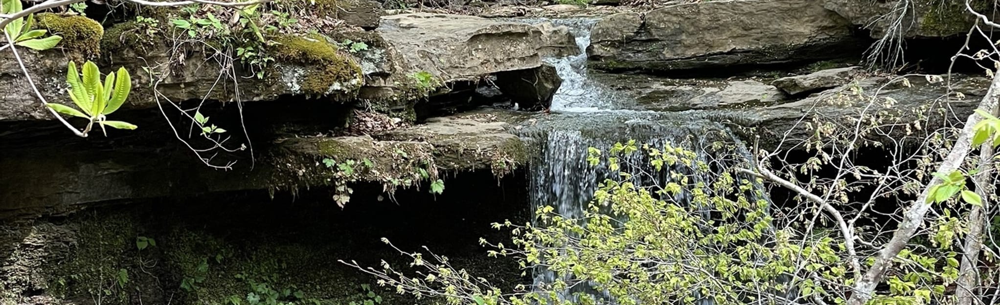 Leaning Log and Adkins Canyon Falls Trail: 20 Reviews, Map - Arkansas ...