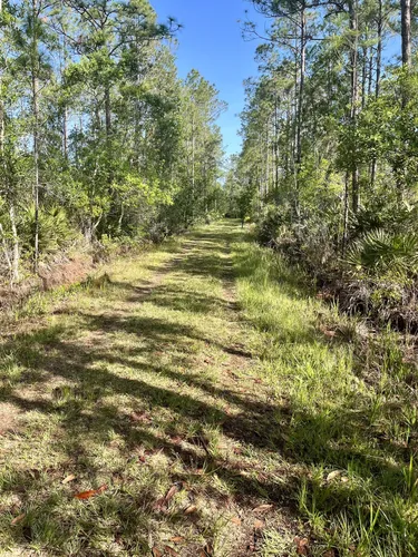 2023 Best Kid Friendly Trails in Lake Helen | AllTrails