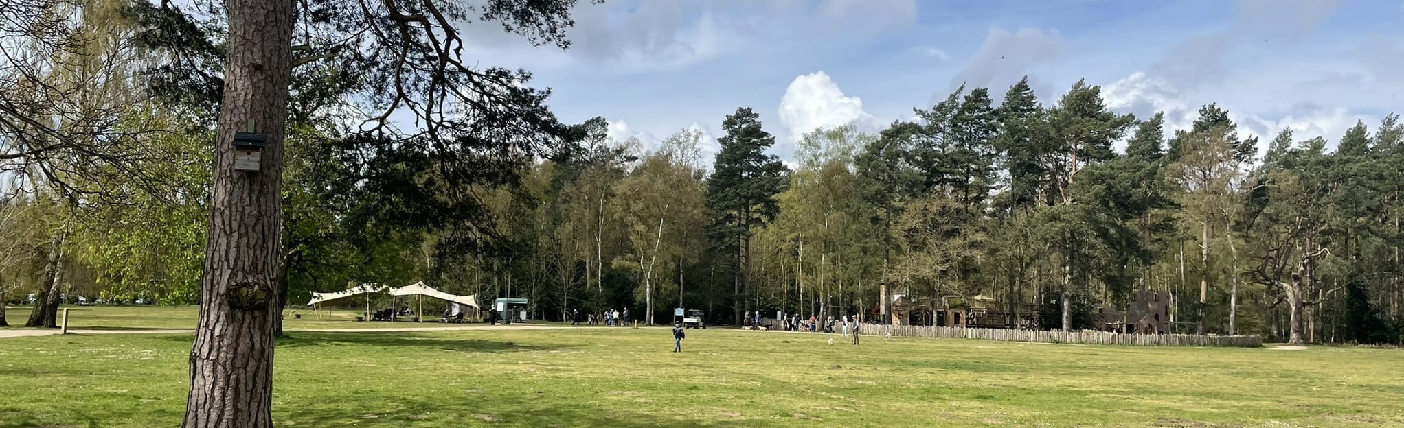 Sandringham Estate Circular, Norfolk, England - 200 Reviews, Map ...