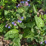 Unami Creek Park Trail, Pennsylvania - 72 Reviews, Map | AllTrails