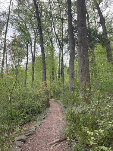 Best Hikes and Trails in National Arboretum | AllTrails