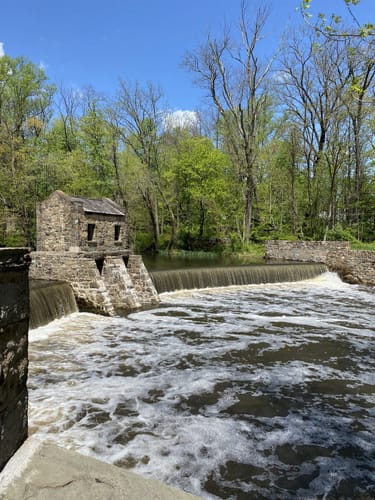 Best Hikes and Trails in Speedwell Park | AllTrails