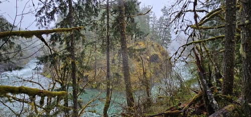 Best Hikes and Trails in Cowichan River Provincial Park | AllTrails