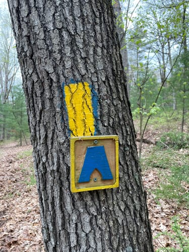 Best Hikes and Trails in Stone Valley Recreation Area | AllTrails