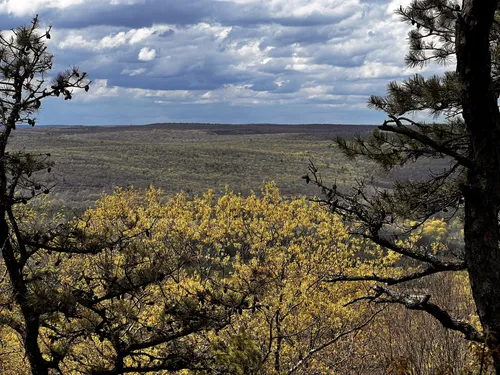 Best Hikes and Trails in Huckleberry Ridge State Forest | AllTrails