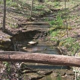 Nine Penny Branch Loop, Indiana - 537 Reviews, Map | AllTrails