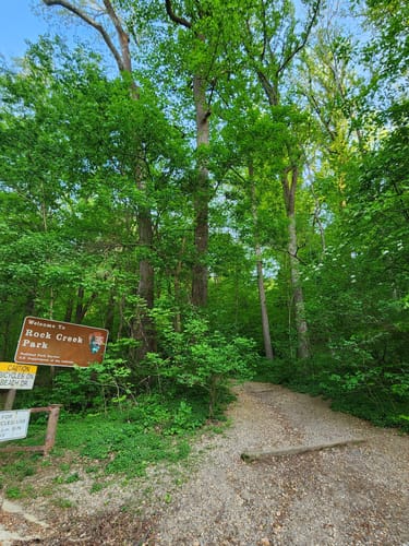 Best Hikes and Trails in Rock Creek Park | AllTrails