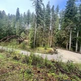 Hidden Falls Nature Park Trail, Oregon - 487 Reviews, Map | AllTrails