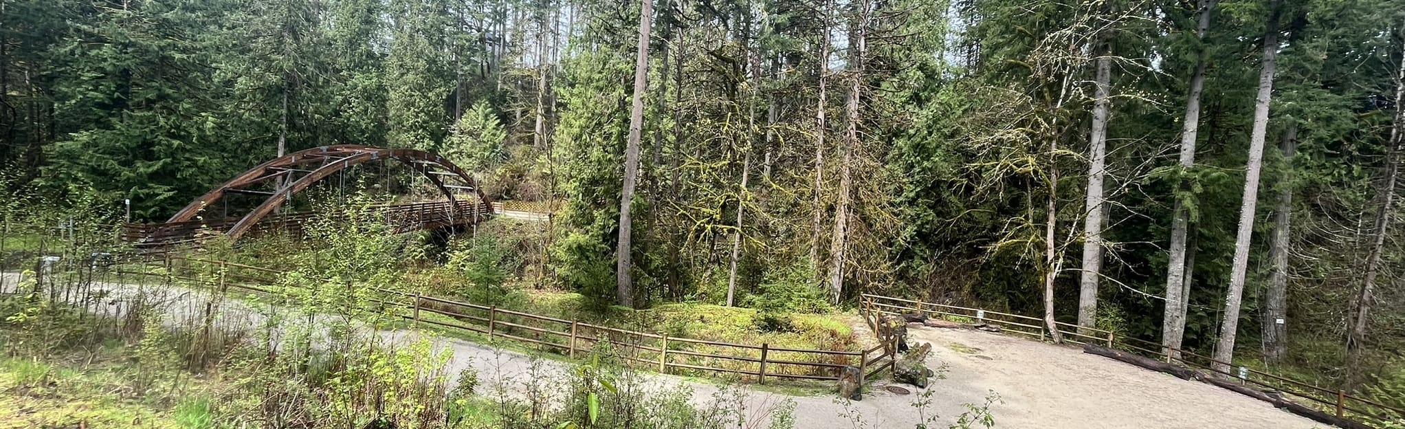 Hidden Falls Nature Park Trail: 403 Reviews, Map - Oregon | AllTrails