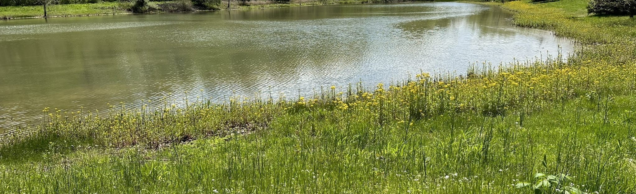 Deer Ridge Park 4K Loop, Missouri - 118 Reviews, Map | AllTrails