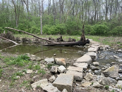 2023 Best Wild Flowers Trails in Bill Yeck Park | AllTrails