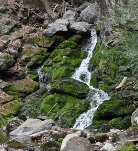 Best Hikes and Trails in Red Bridge Pond State Park | AllTrails