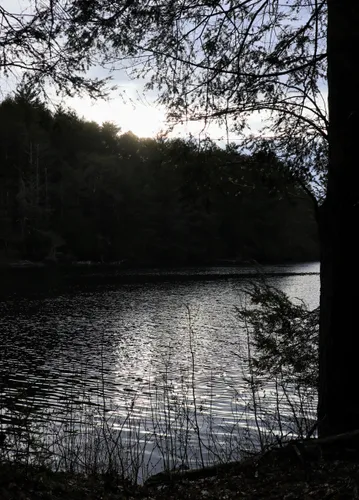 Best Hikes and Trails in Red Bridge Pond State Park | AllTrails