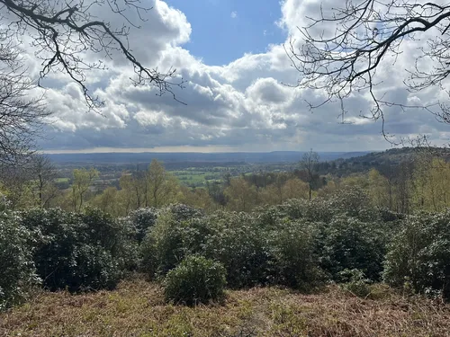 10 Best Mountain Biking Trails in Surrey Hills National Landscape (AONB ...