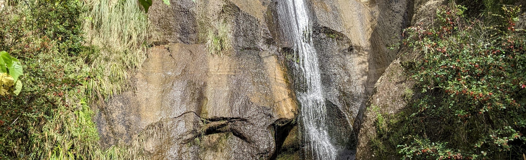 Wright Falls via Homunga Bay Track, Waikato, New Zealand - 27 Reviews ...