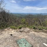 Springer Mountain, Georgia - 577 Reviews, Map | AllTrails