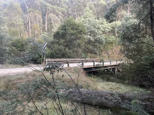 Best Camping Trails in Stanley | AllTrails