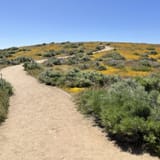 North Loop, Antelope Butte and Lightning Bolt Loop, California - 385 ...