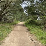 Sweeney Ridge Trail via Mori Ridge, California - 1,715 Reviews, Map ...