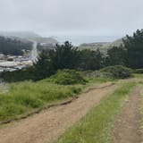 Sweeney Ridge Trail via Mori Ridge, California - 1,715 Reviews, Map ...