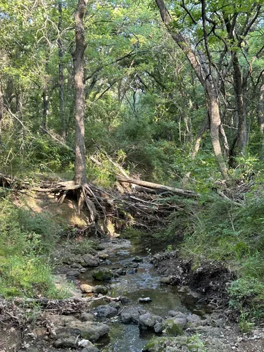 Best Hikes and Trails in Corinth Community Park | AllTrails