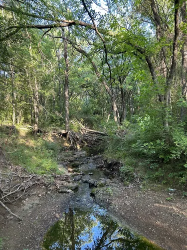 Best Hikes and Trails in Corinth Community Park | AllTrails