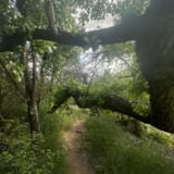 Parsons Trail, Arizona - 704 Reviews, Map | AllTrails