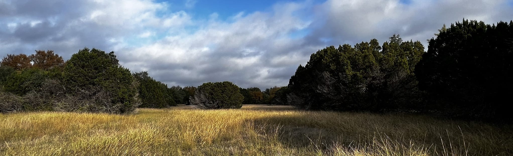 Paluxy River Trail, Texas - 226 Reviews, Map | AllTrails