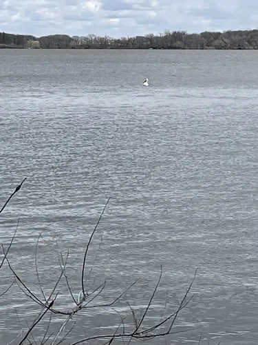 Best Hikes and Trails in Lake Shetek State Park | AllTrails