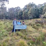 Hannels Spur Track, New South Wales, Australia - 43 Reviews, Map ...