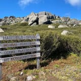 Hannels Spur Track, New South Wales, Australia - 43 Reviews, Map | AllTrails