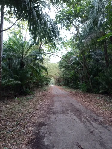 10 Best Trails and Hikes in Trinidad and Tobago | AllTrails