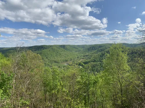 10 Best Hikes and Trails in Berea College Forest | AllTrails