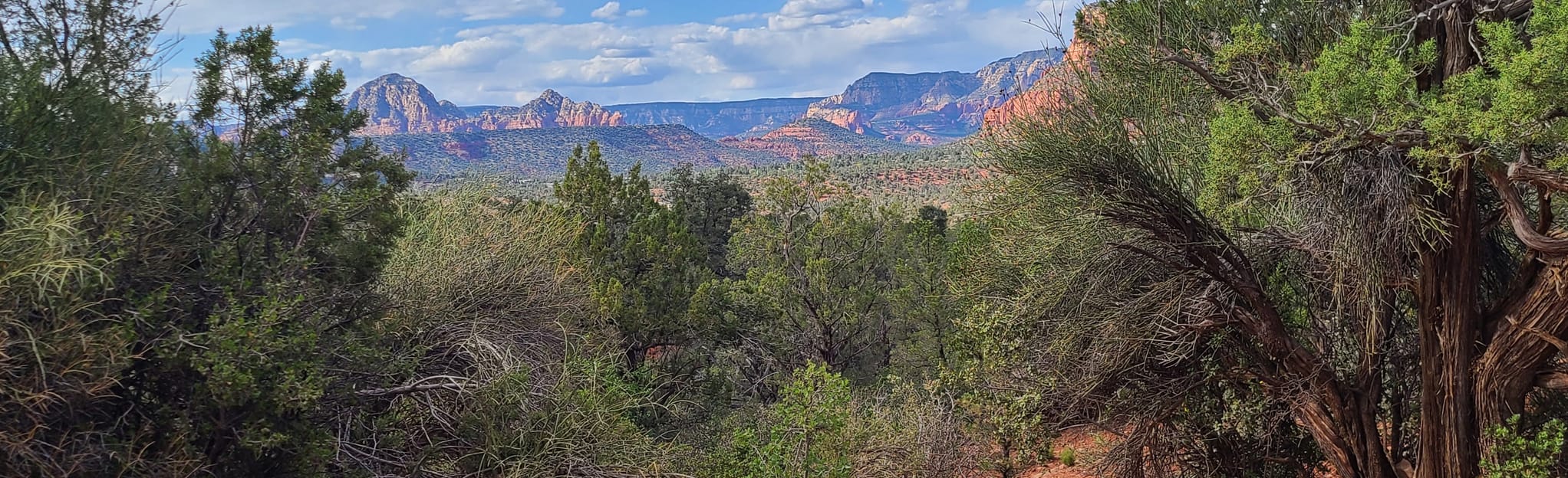 Coconino Trail #172B: 138 Reviews, Map - Arizona | AllTrails